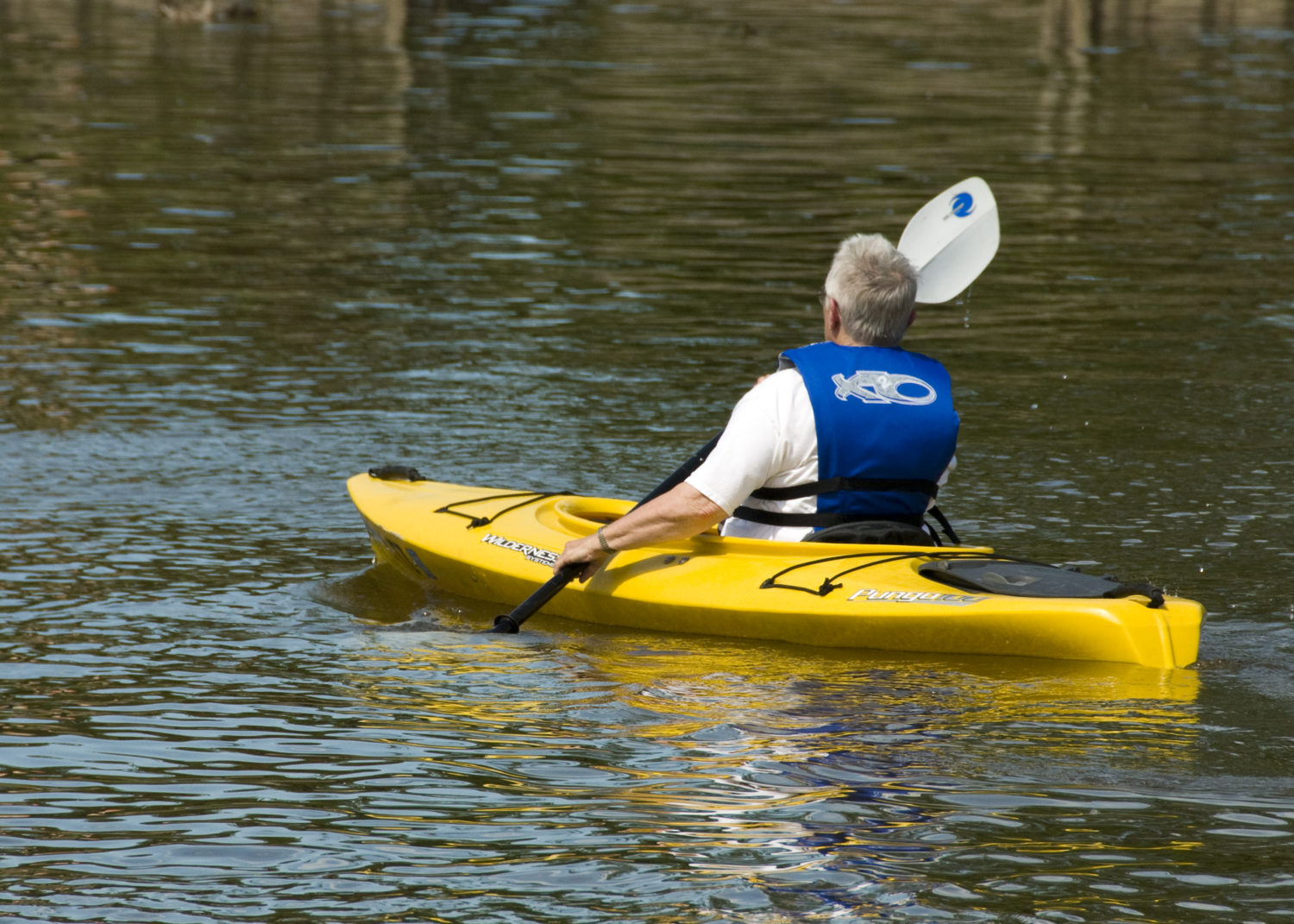 HoffmannParktoDavisPark – Cass River Water Trail