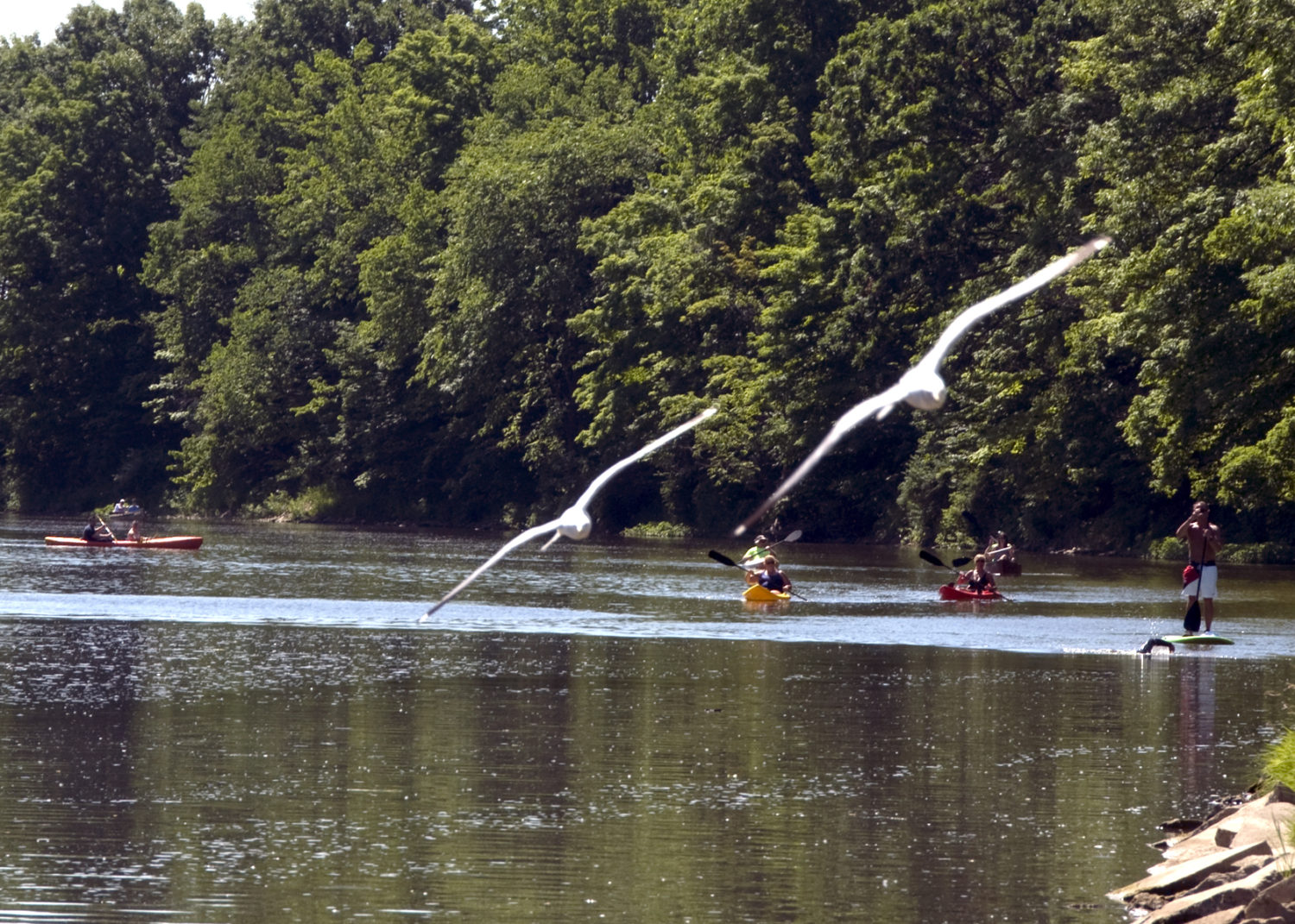 Photos – Cass River Water Trail